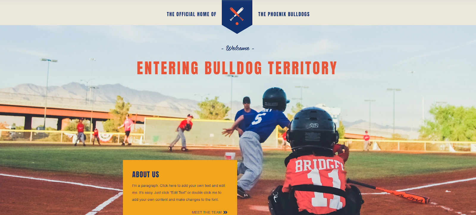 9 Best Website Builders for Sports Teams and Leagues in 2024