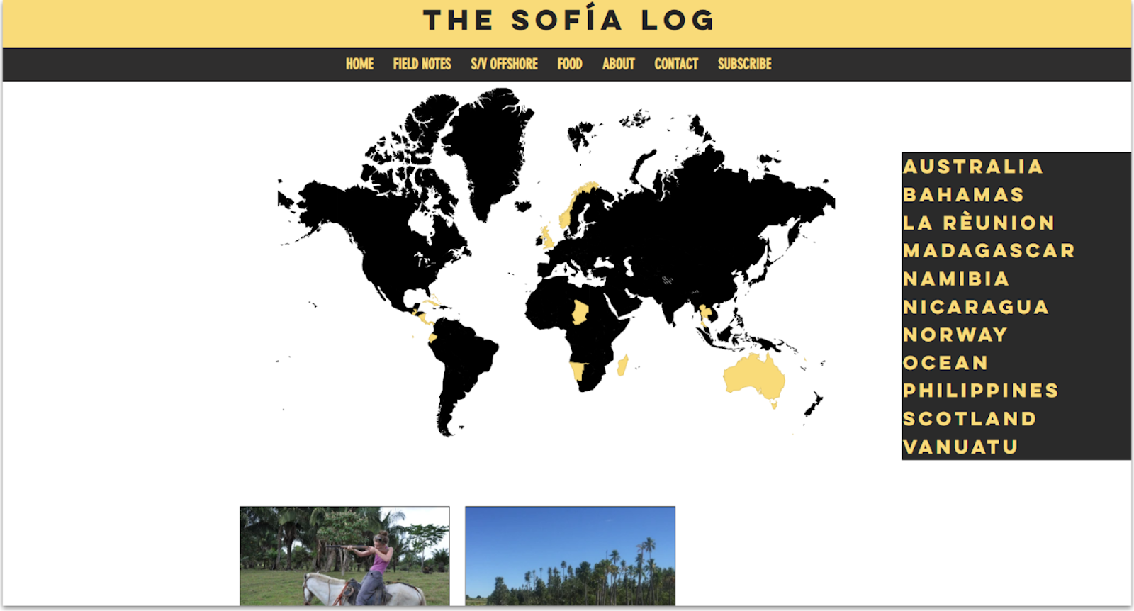 20 Best Wix Website Examples: Find Inspiration in 2025