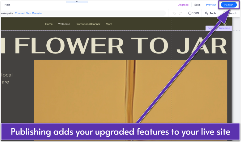 How To Upgrade to Premium on Wix (2025 Step-by-Step Guide)
